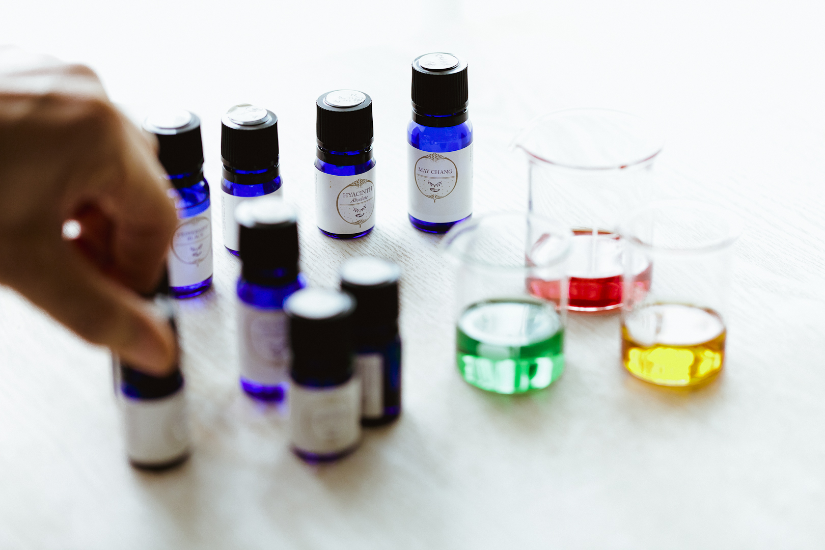 1期生最後の授業 | JWMA